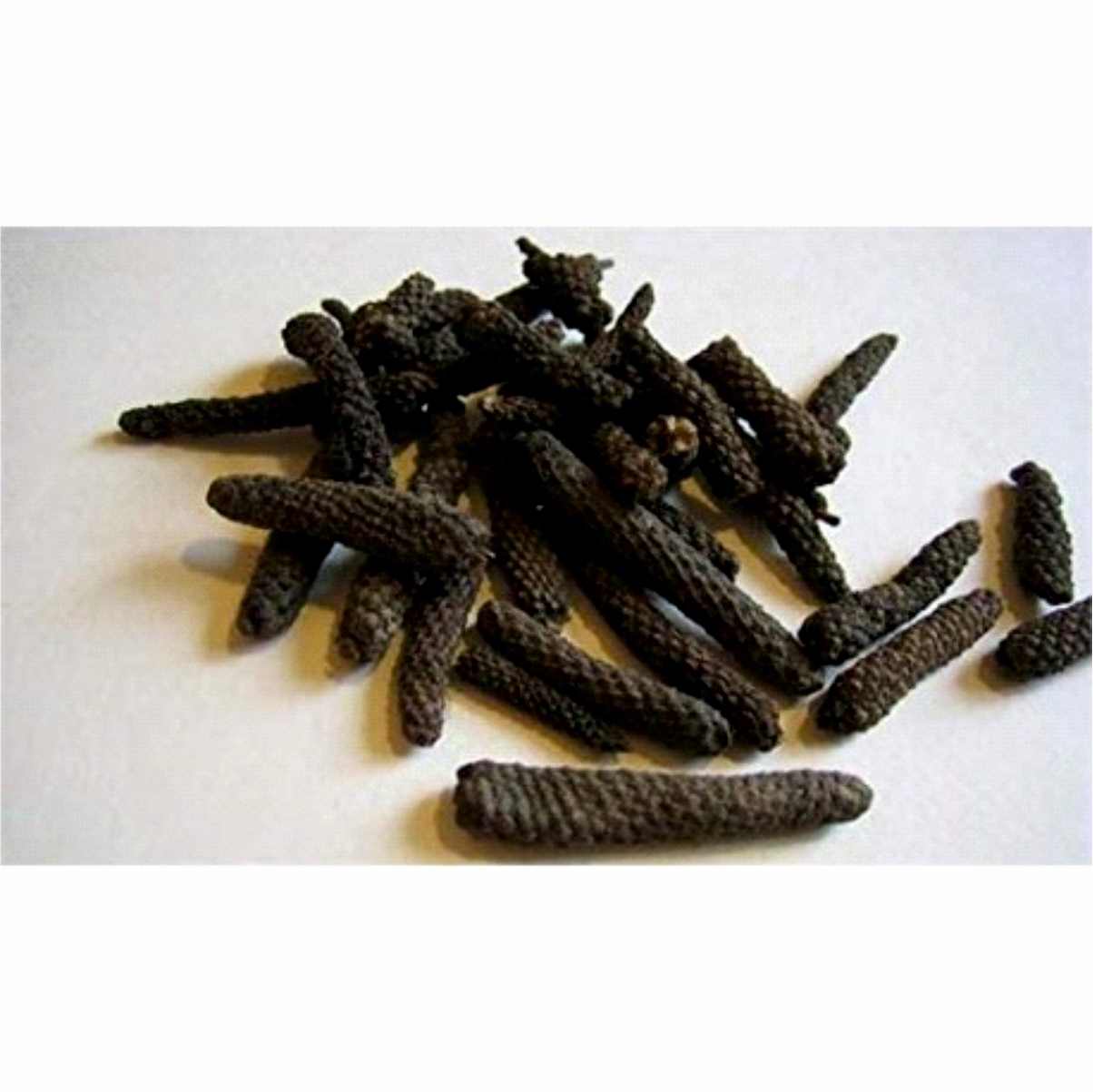 PIPPALI (LONG PEPPER) – Ishan Ayurvedic Medical College and Research Centre